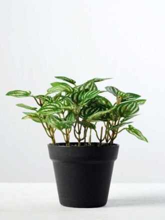 Artificial Plant 24*22*39cm Eucalyptus in metal pot GS-03318202-G1 ...