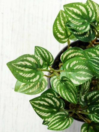 Artificial Plant 24*22*39cm Eucalyptus in metal pot GS-03318202-G1 ...