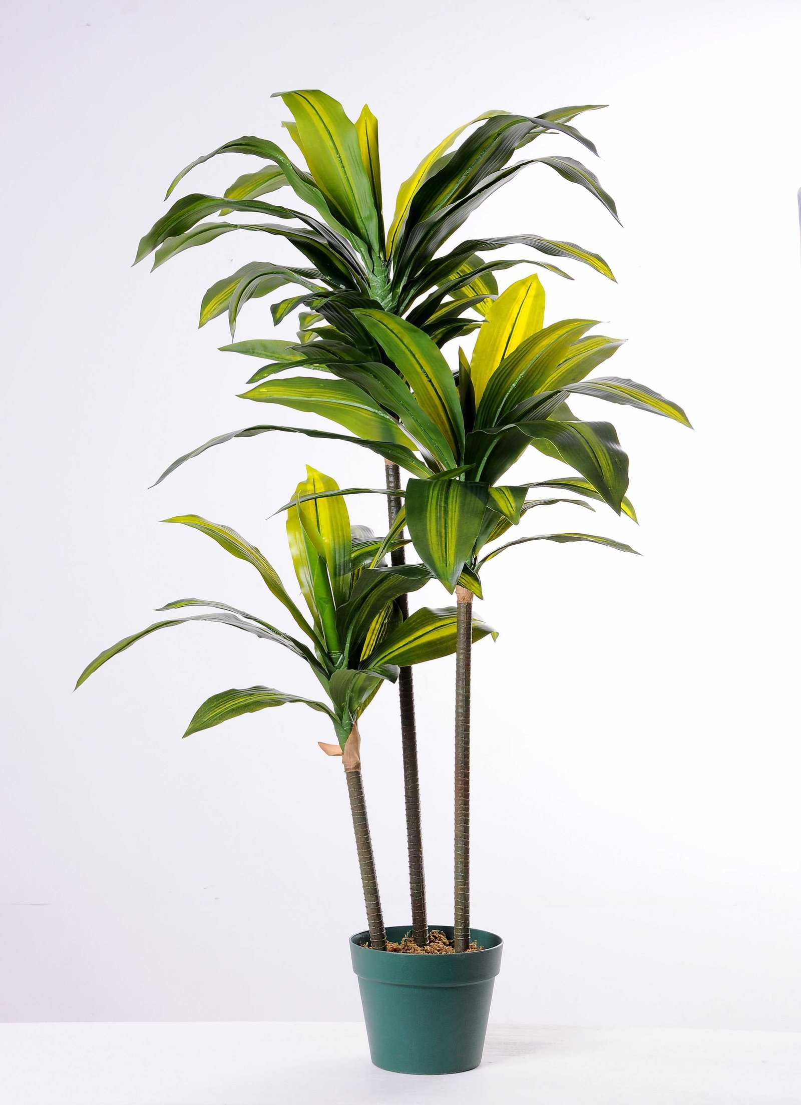 110CM Brazilian iron tree GS-3040068 | China Silk Flowers & Artificial ...