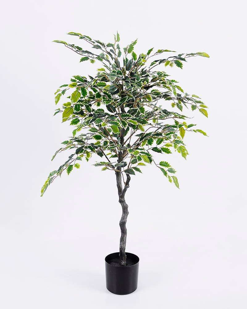 Artificial Tree 76*73*107cm Ficus tree in pp pot/lvs682 GS-26620013-G2 ...