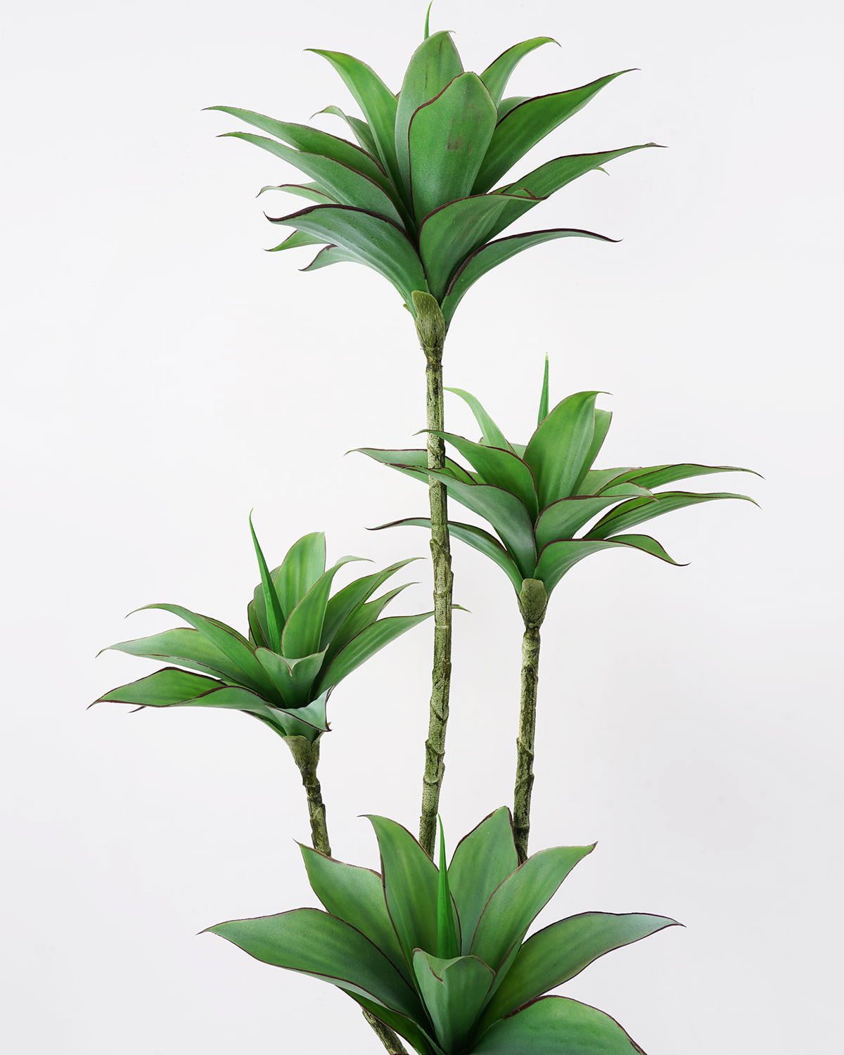 Artificial Tree 62*66*130cm Agave*4 (63Leaves) GS-48521057 - Silk ...