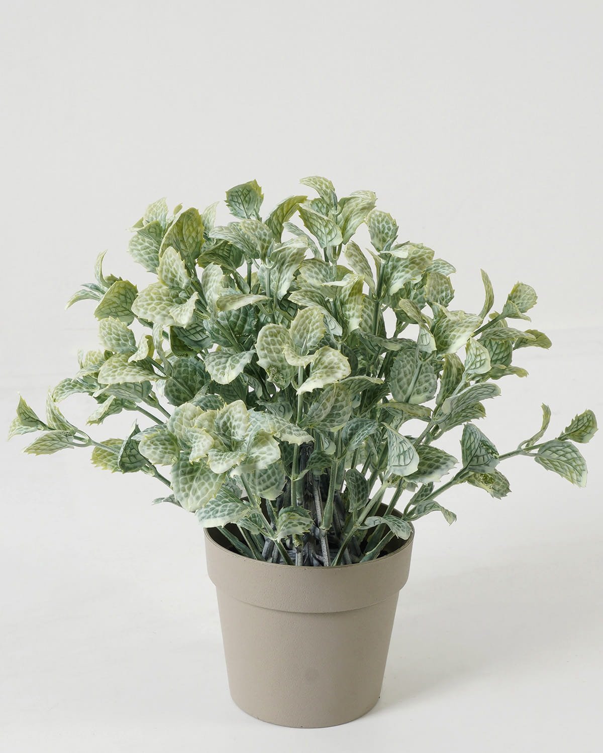 Artificial Table Plants GS-05523024CONTI - Silk Flowers Factory ...