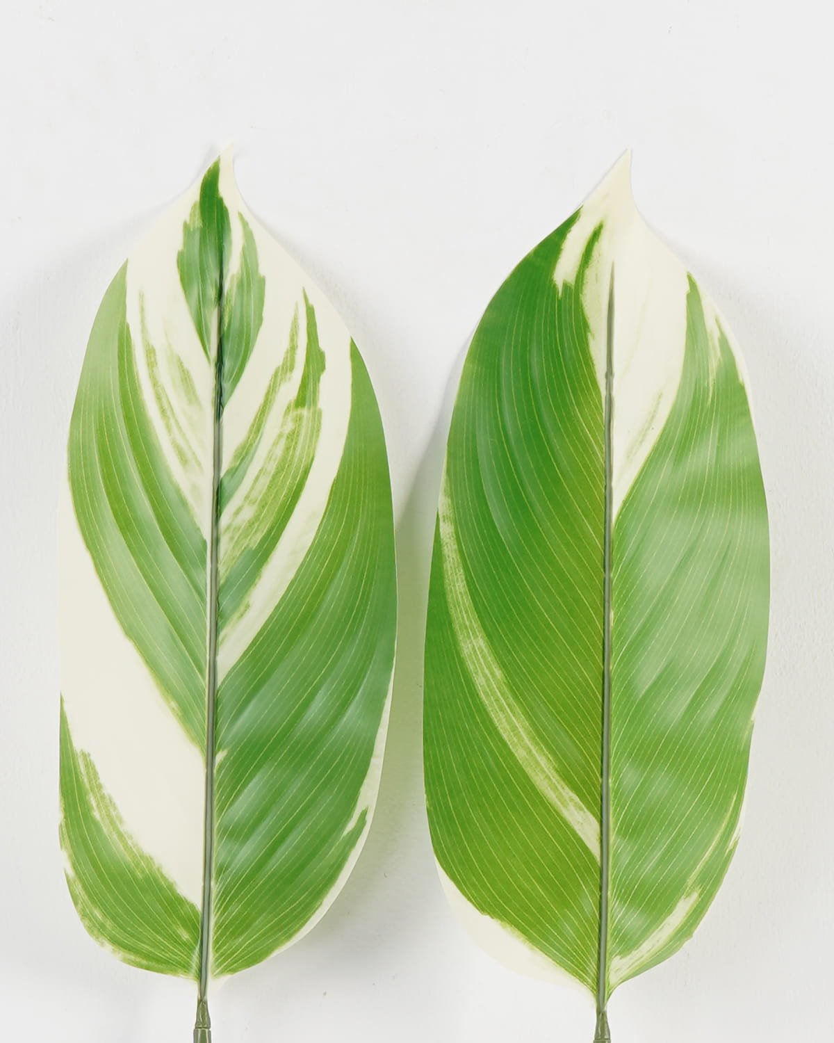 Artificial Plant 16*87cm Leaf single stem GS-66423055CONTI-SET-G2 ...