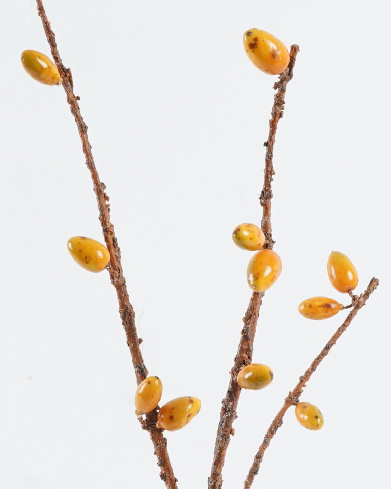 Artificial Plant 11*11*80cm Coquilla nut *14 fruit single stem GS ...